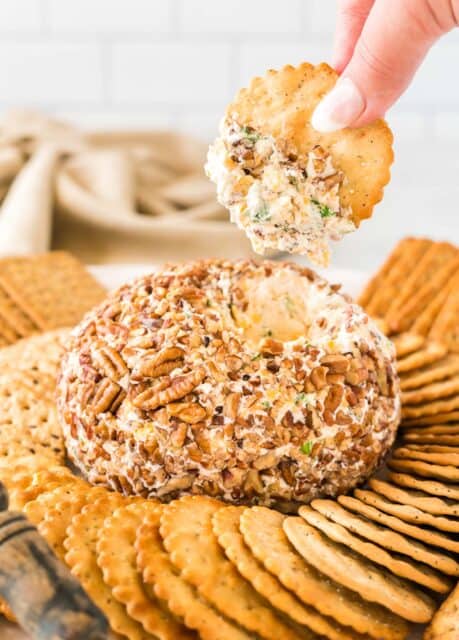 Classic Cheese Ball Recipe - Build Your Bite