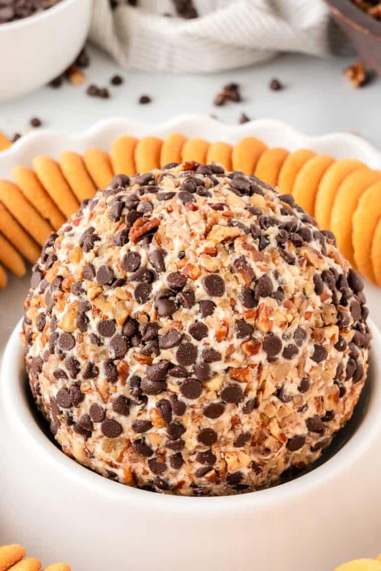 Chocolate Chip Cheese Ball Recipe - Build Your Bite