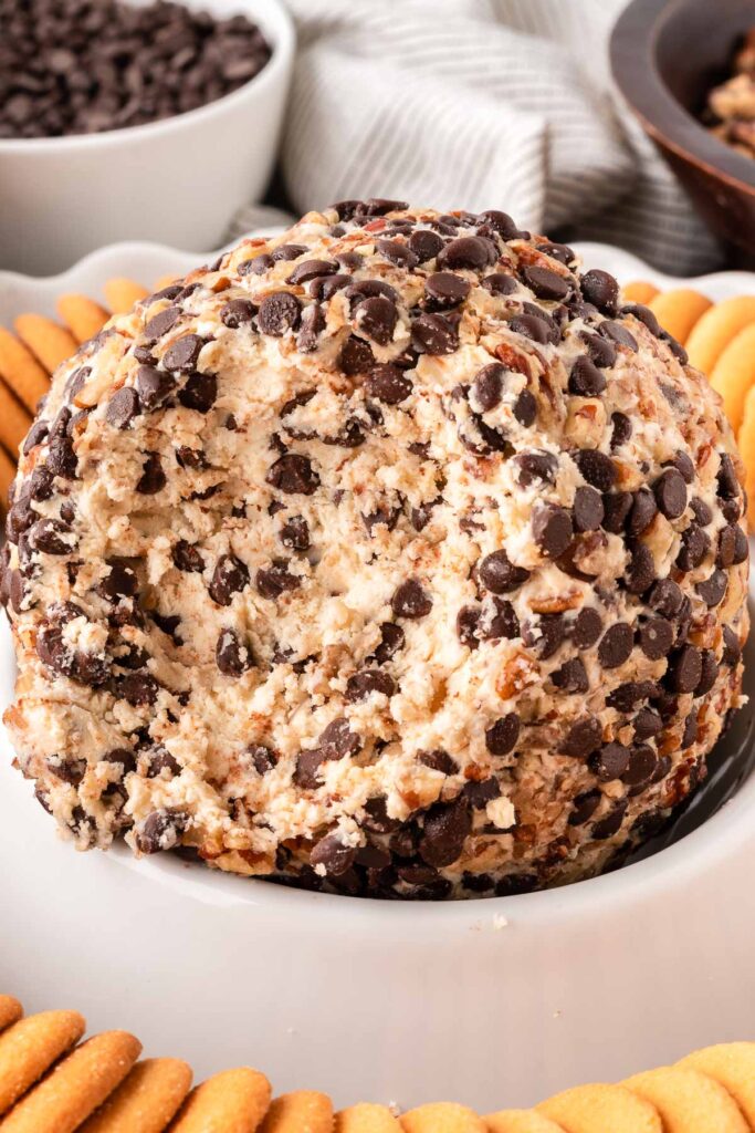Chocolate Chip Cheese Ball Recipe - Build Your Bite