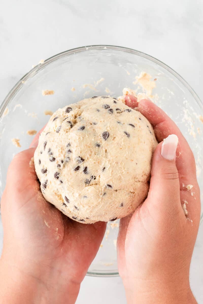 Chocolate Chip Cheese Ball Recipe - Build Your Bite