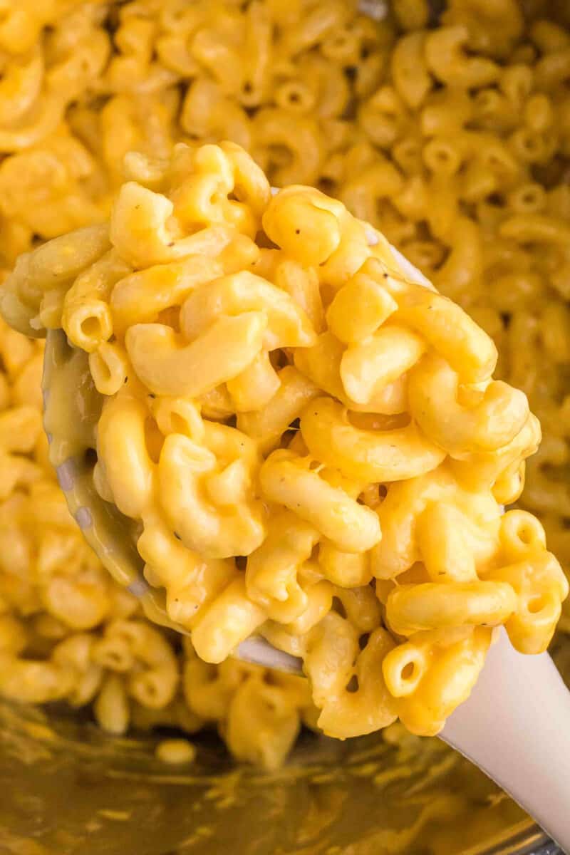 Instant Pot Mac and Cheese - Build Your Bite