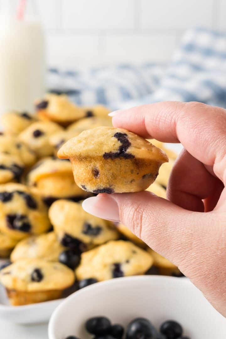Blueberry Mini Muffins - Build Your Bite