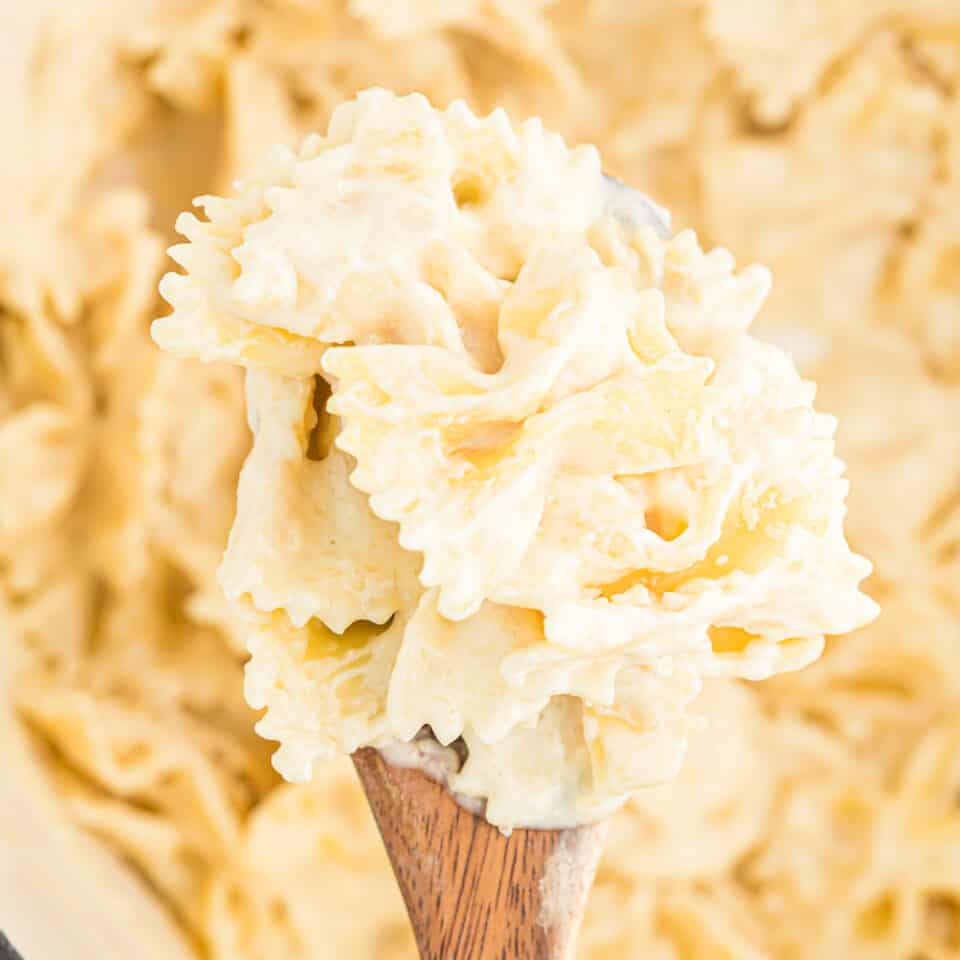 Parmesan Cream Sauce for Pasta - Build Your Bite