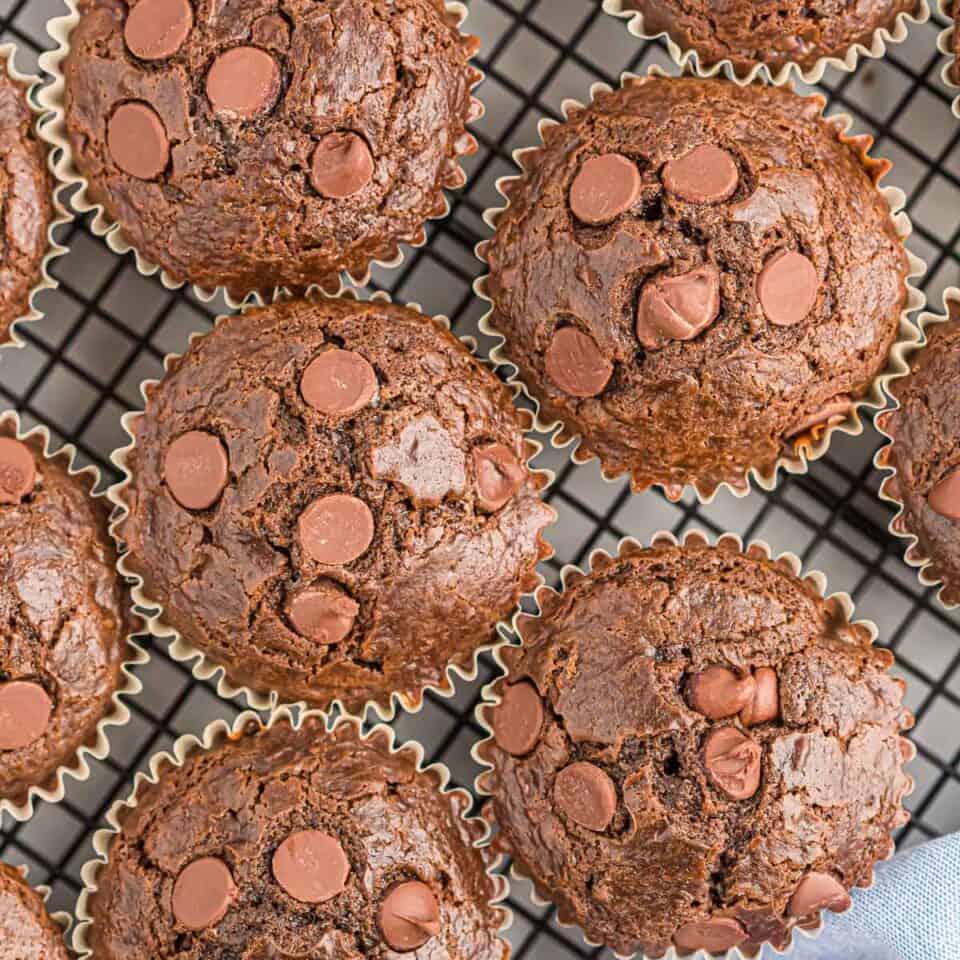 Double Chocolate Muffins - Build Your Bite