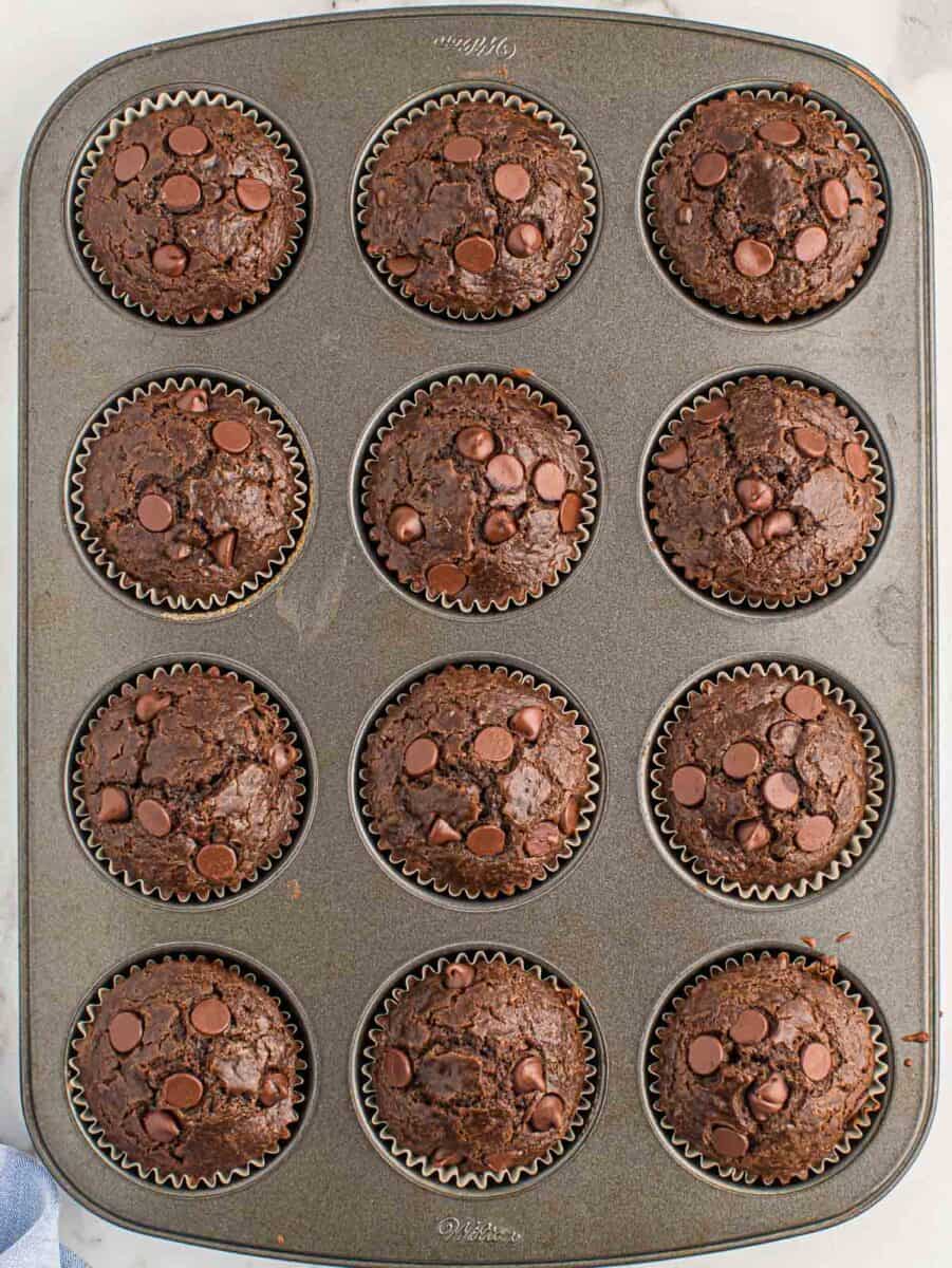 Double Chocolate Muffins - Build Your Bite