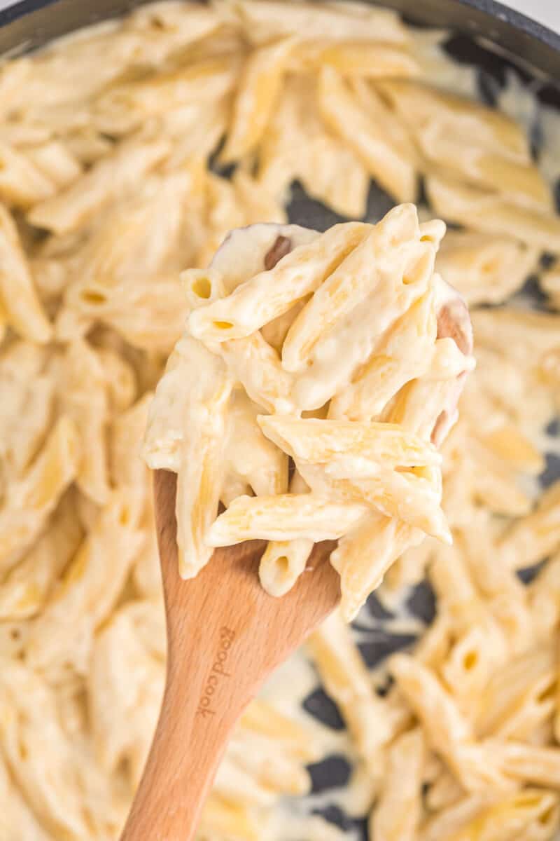 Creamy Penne Pasta - Build Your Bite