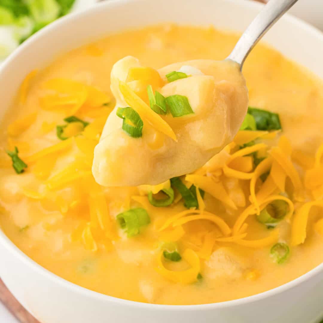 Potato Soup - Build Your Bite