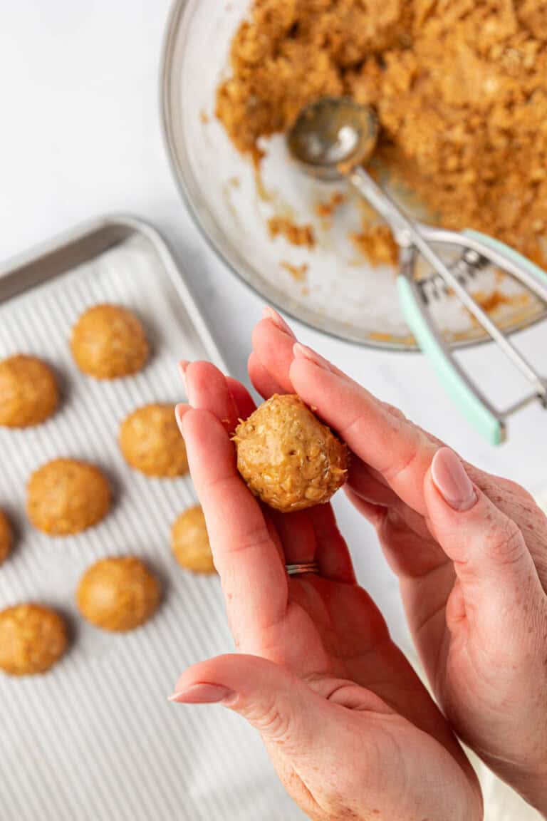 Peanut Butter Crunch Energy Bites - Build Your Bite