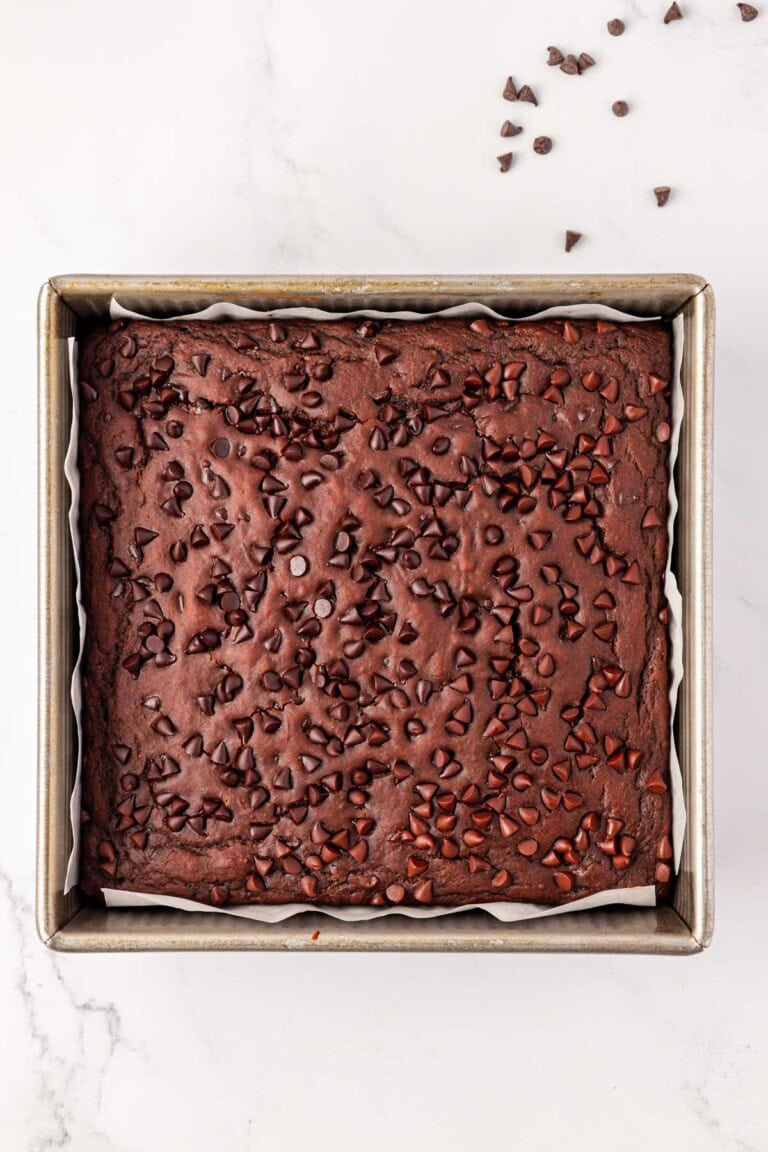 Chocolate Snack Cake - Build Your Bite